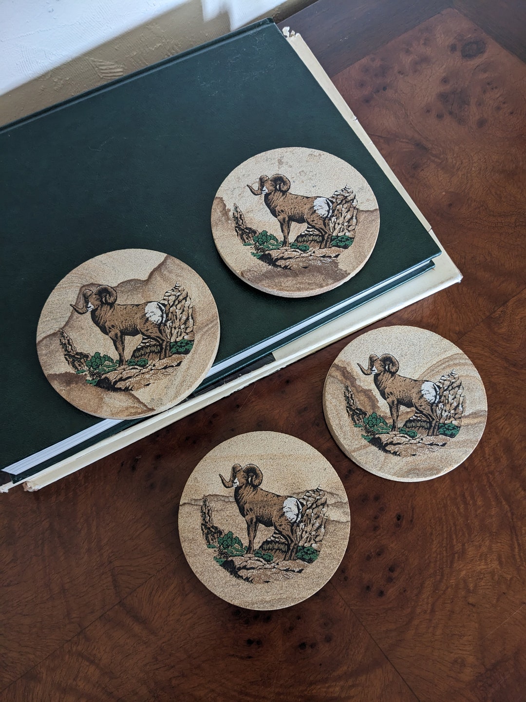 Set of 4 Bighorn Sheep Rock Coasters - Etsy