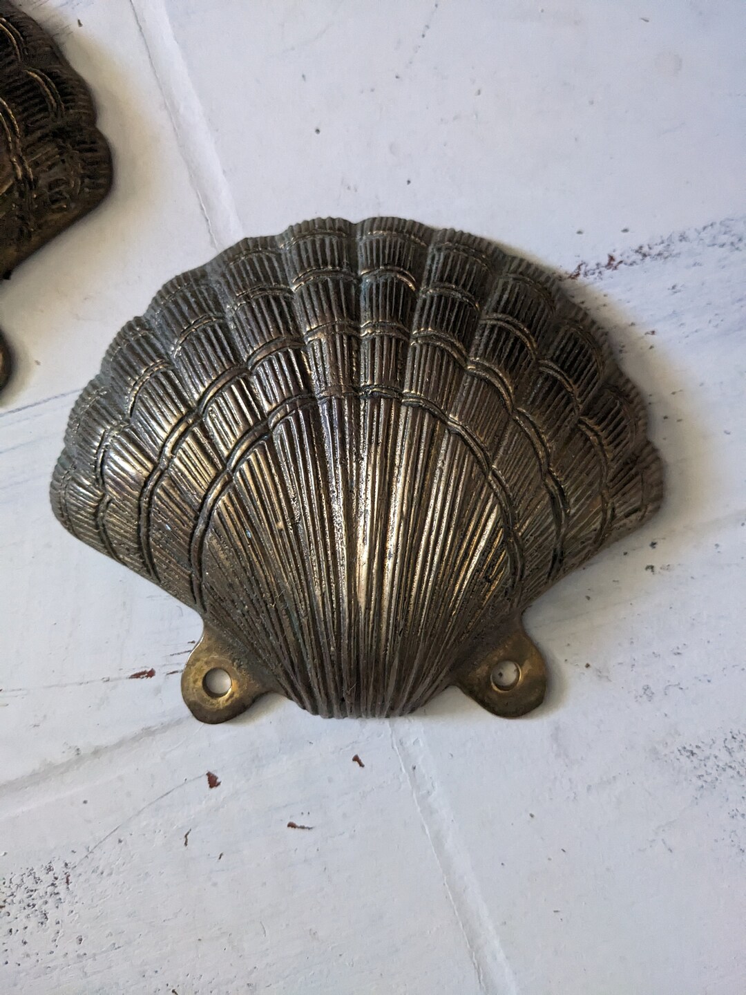 Set of 2 Solid Brass Shells Wall Decor - Etsy