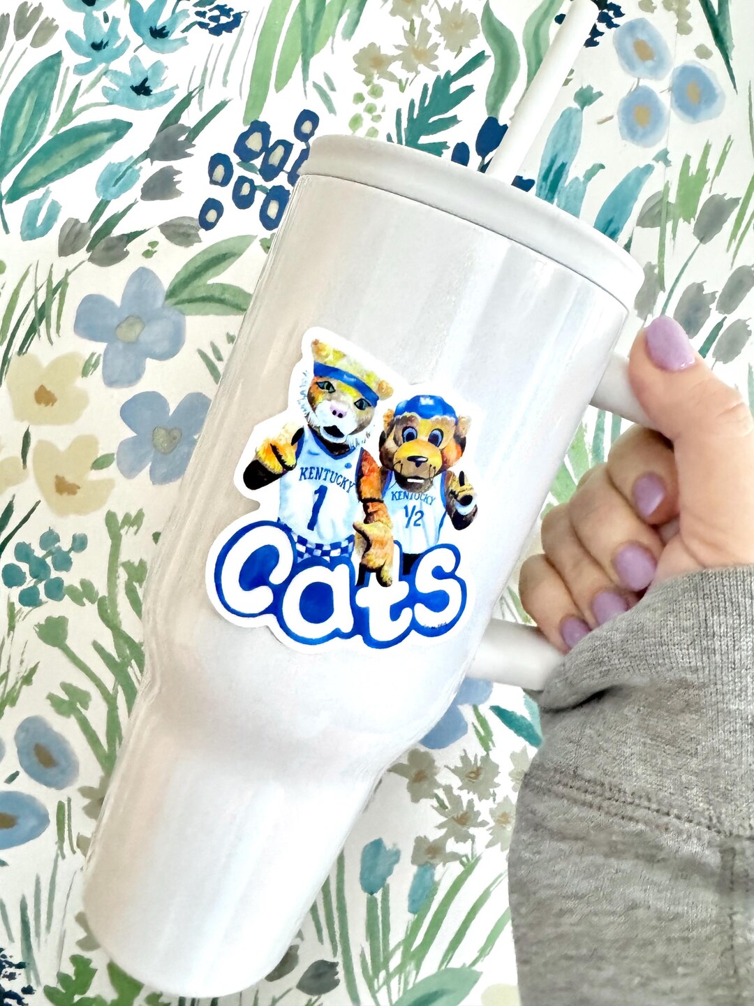 Cats Sticker, Wildcat Mascots, Kentucky Wildcats, UK Basketball ...