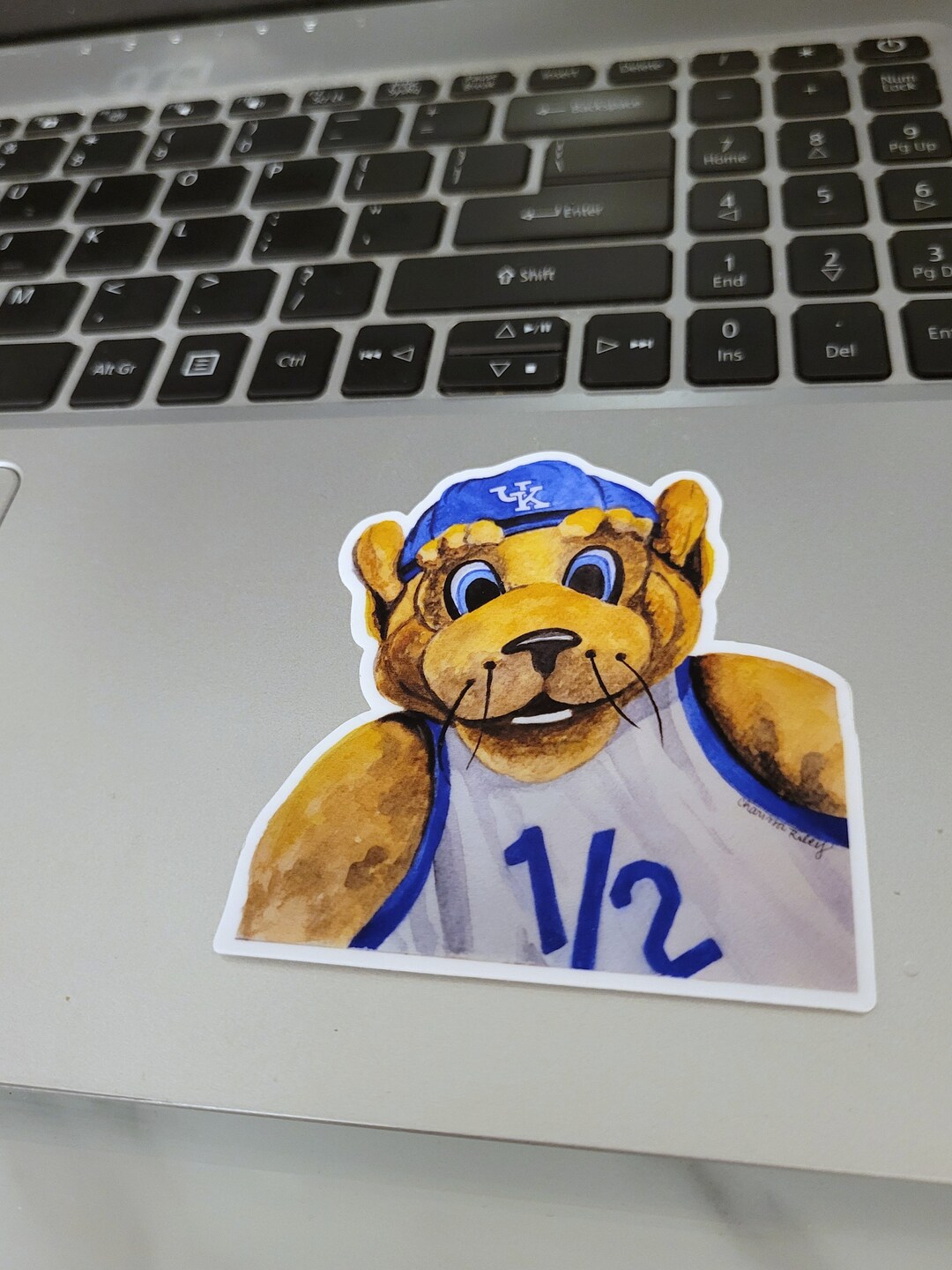 Wildcat Mascot Sticker, Scratch, UK Wildcats, University of Kentucky ...