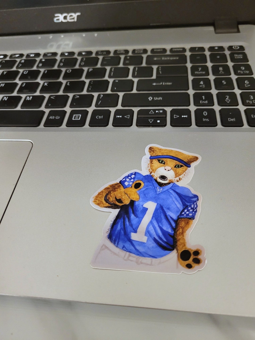Wildcat Mascot Sticker, UK Wildcat Football Fan Gift, Gifts for Him ...