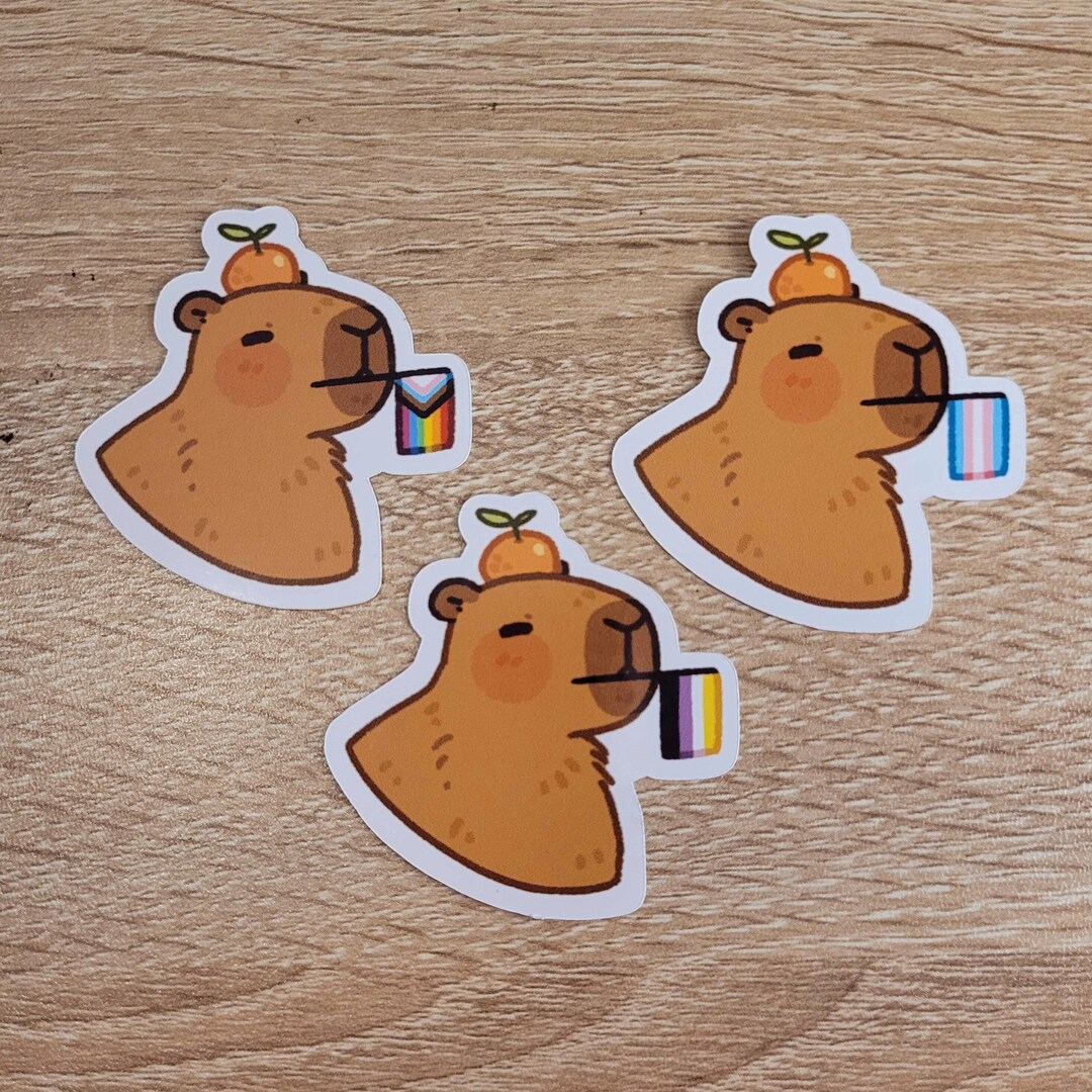 Pride Capybara Stickers - Etsy