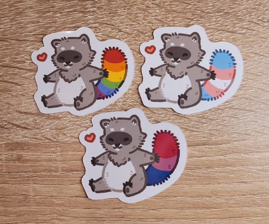 Pride Raccoon Stickers - Etsy