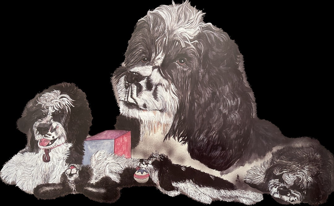 American Cocker Spaniel Poster C/2/1/spaniel - Etsy