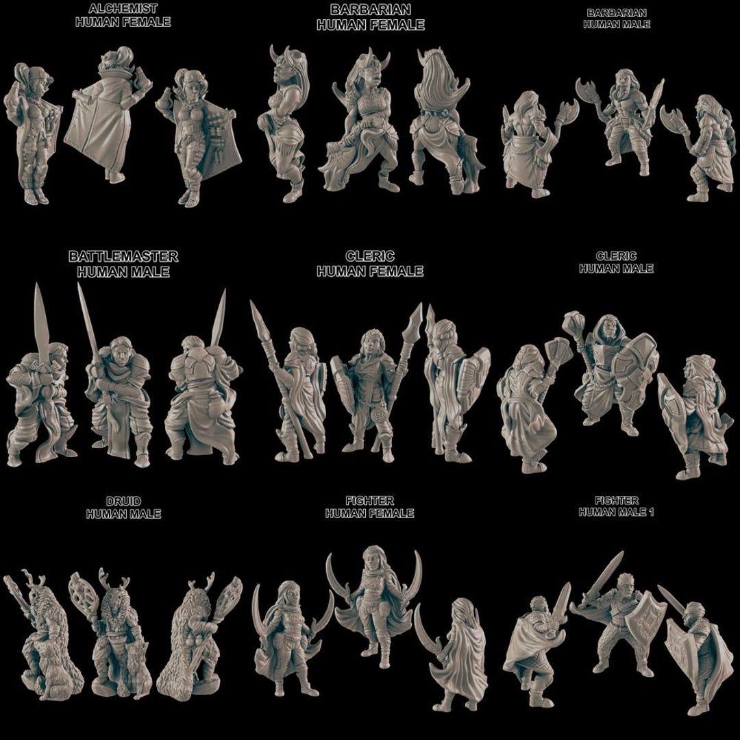 RPG Miniatures Human Class Collection EC3D Design 14K Resin Printed - Etsy