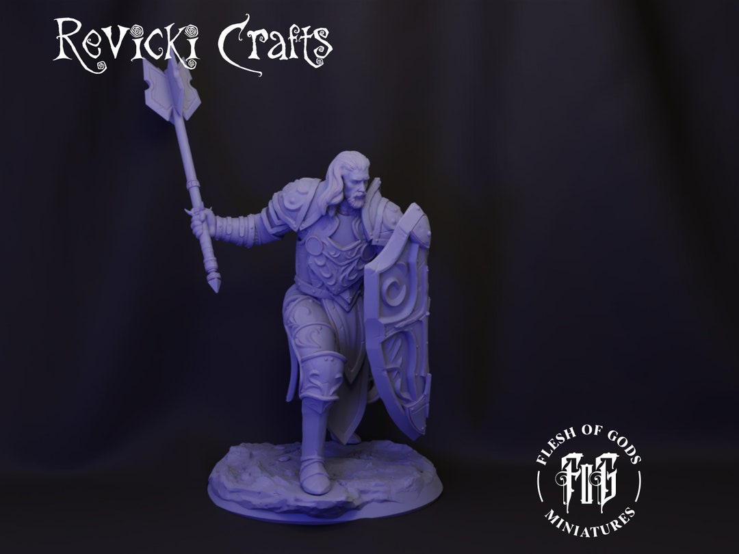 Male Human Paladin With Mace and Shield Holy Knight Warrior Cleric ...