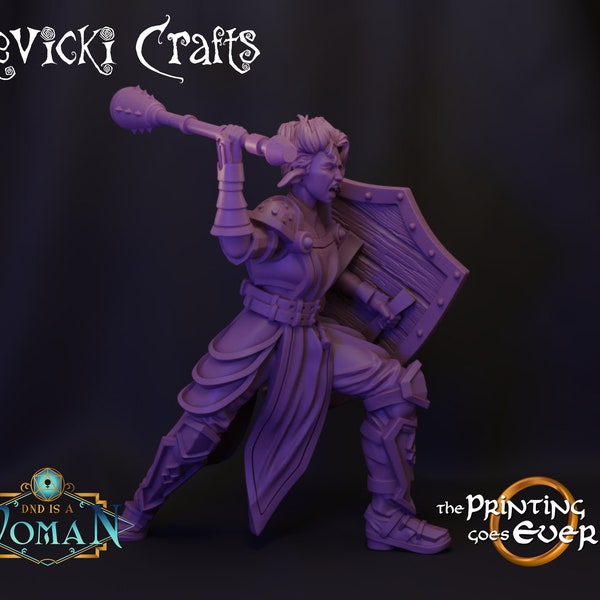 Mace and Shield Miniature - Etsy