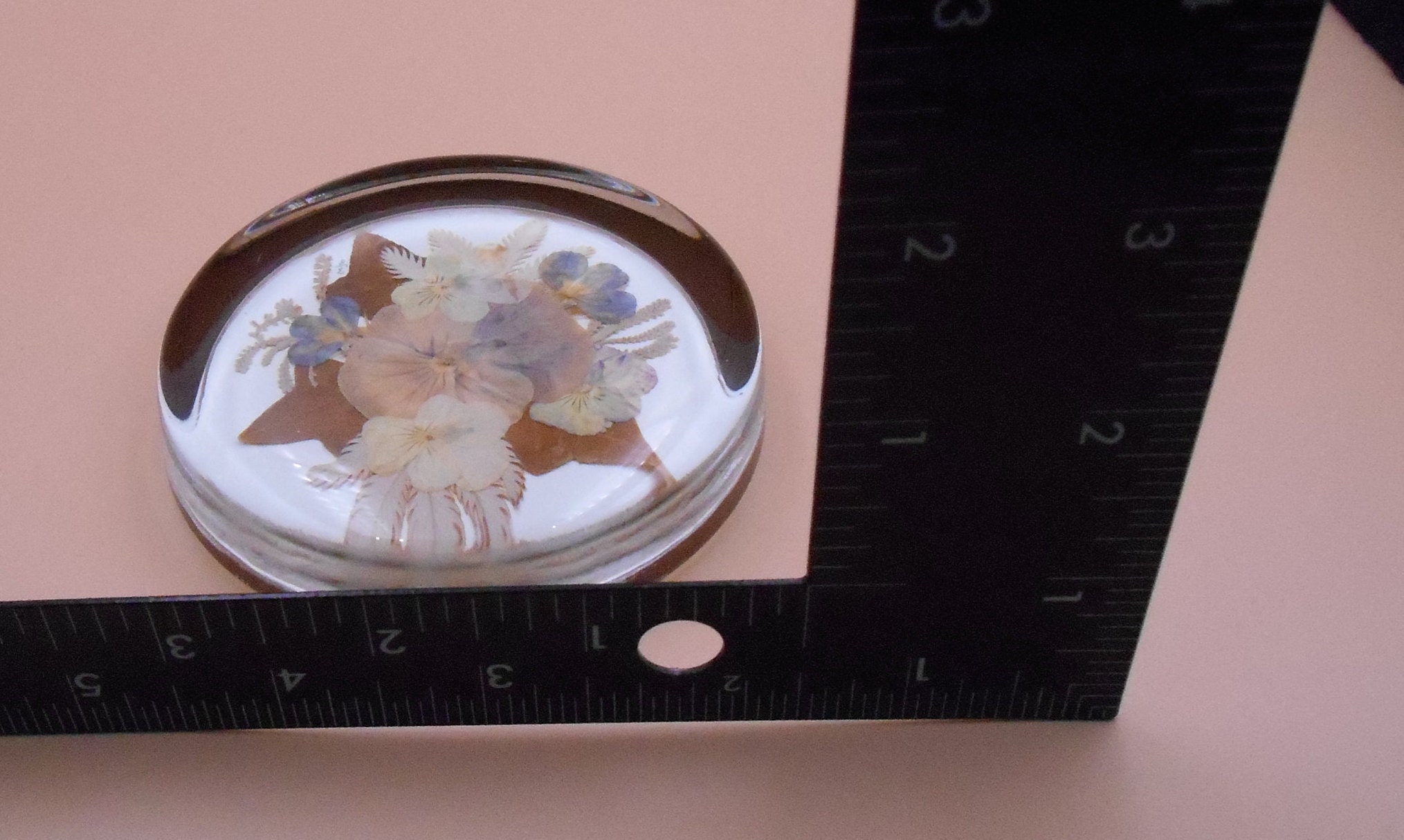 VINTAGE Glass Paperweight Dried Flowers Round Signed With Felt Brown ...