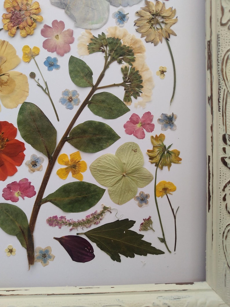 Pressed Flower Art - Etsy