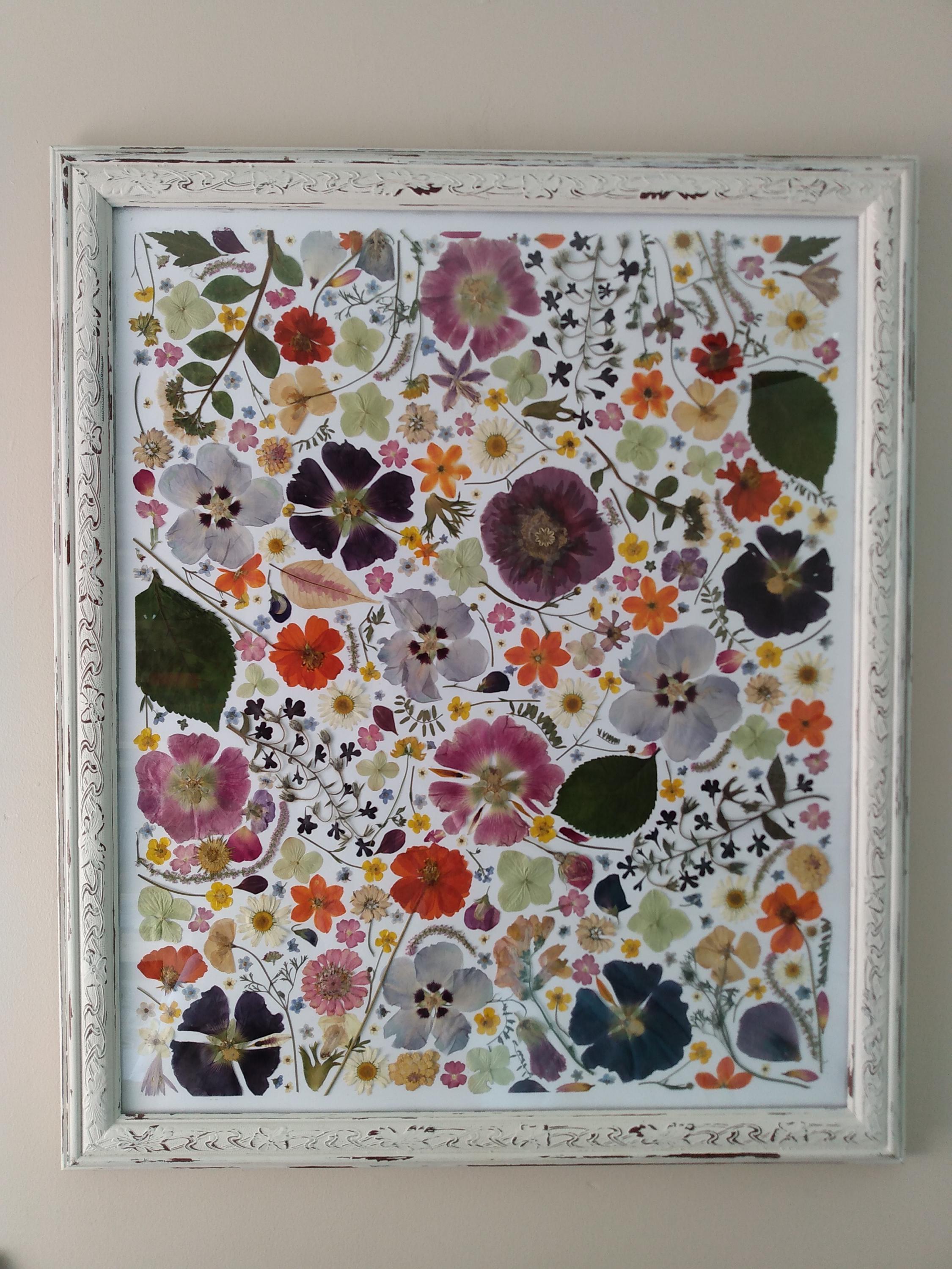 Pressed Flower Art - Etsy