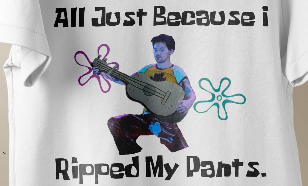 Harry Styles Ripped Pants T-shirt Meme, Funny Gag Gift Harry Styles One ...