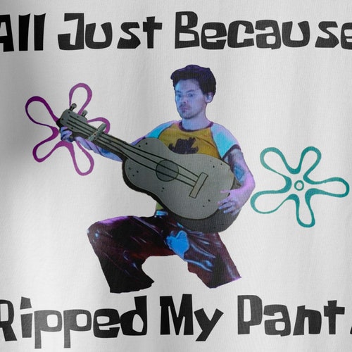 Harry Styles Ripped Pants T-shirt Meme Funny Gag Gift Harry - Etsy
