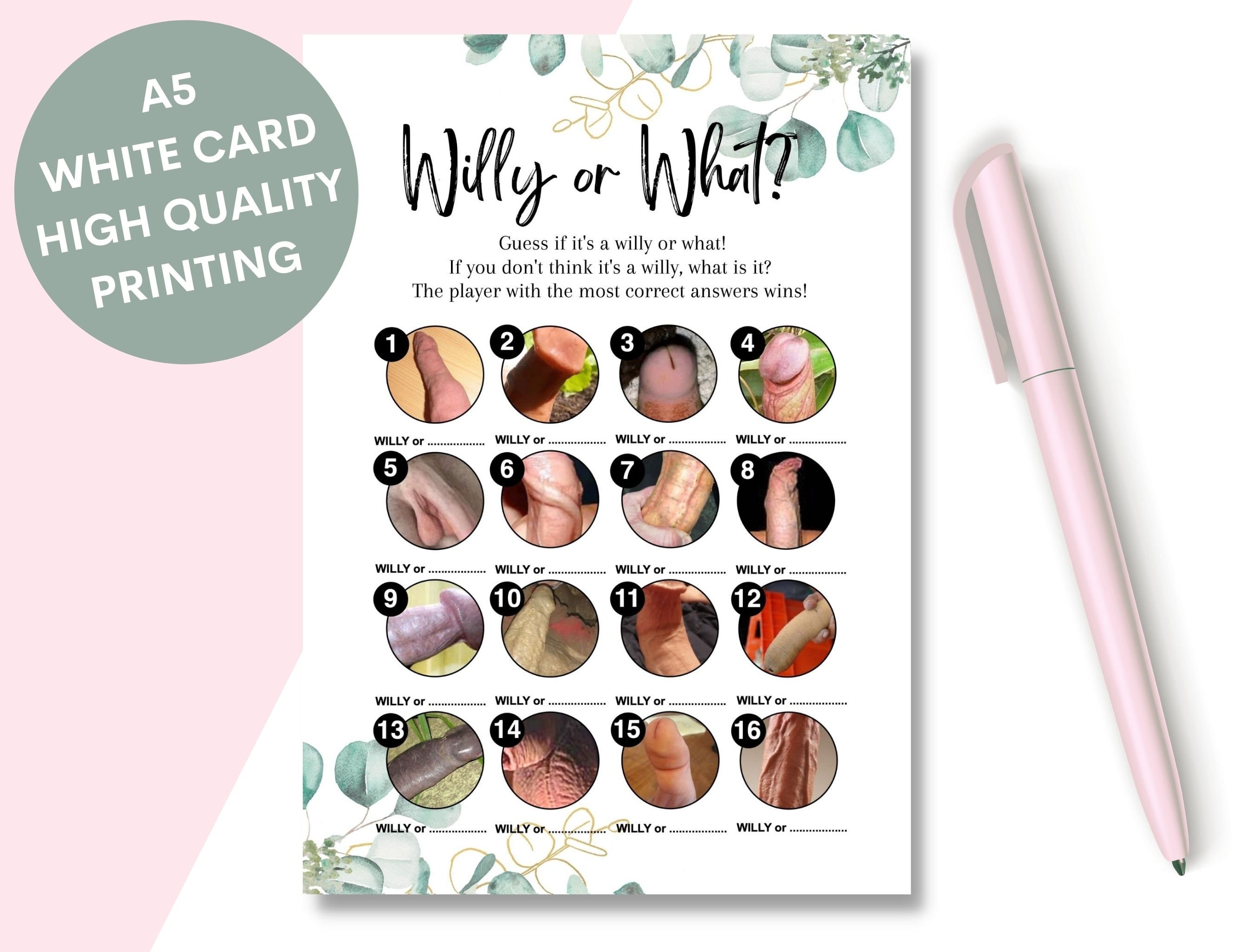 Hen Party Game Willy or What Dirty Rude Hen Games Bridal - Etsy UK