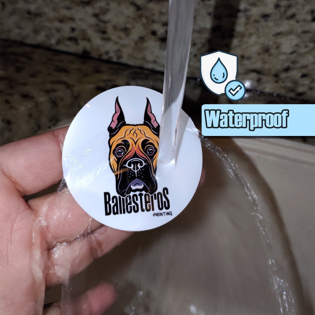 Waterproof Custom Stickers / Labels Glossy Circular / Anniversary ...