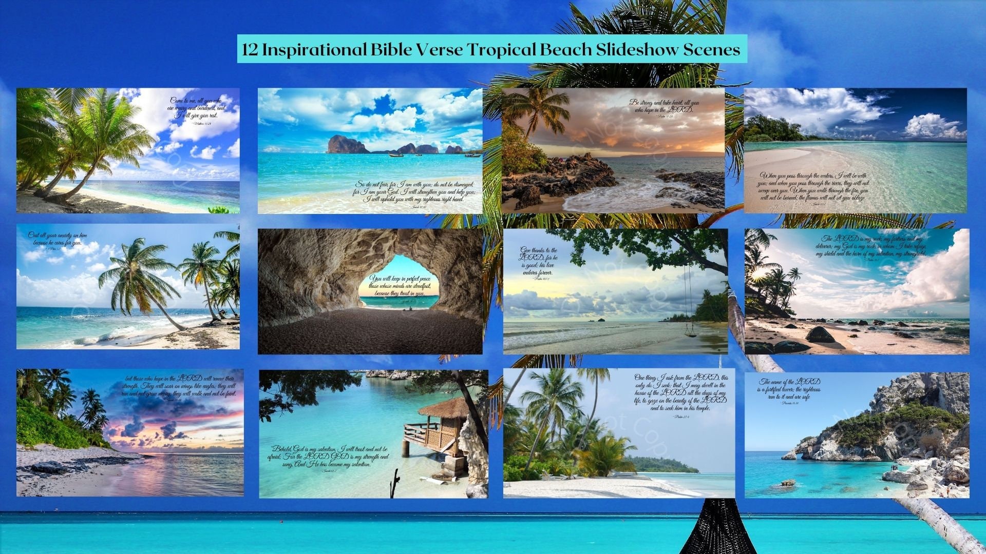 1920x1080 Tropical Collage