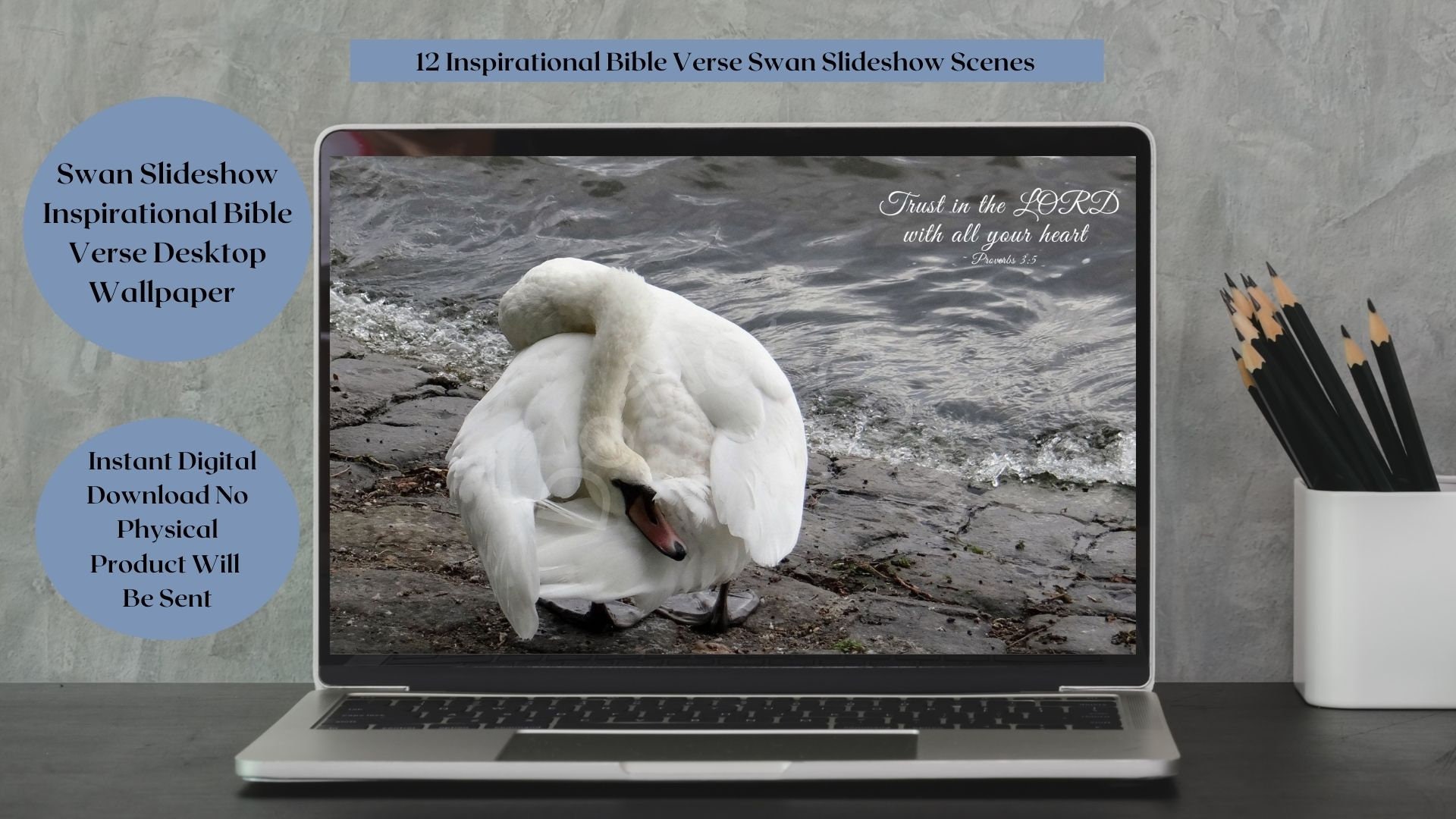 Christian Swan Bird Bible Verse Scripture Desktop Wallpaper Slideshow ...