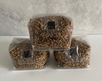 Sterilized Rye Berry Mushroom Substrate With Self Healing Injection ...