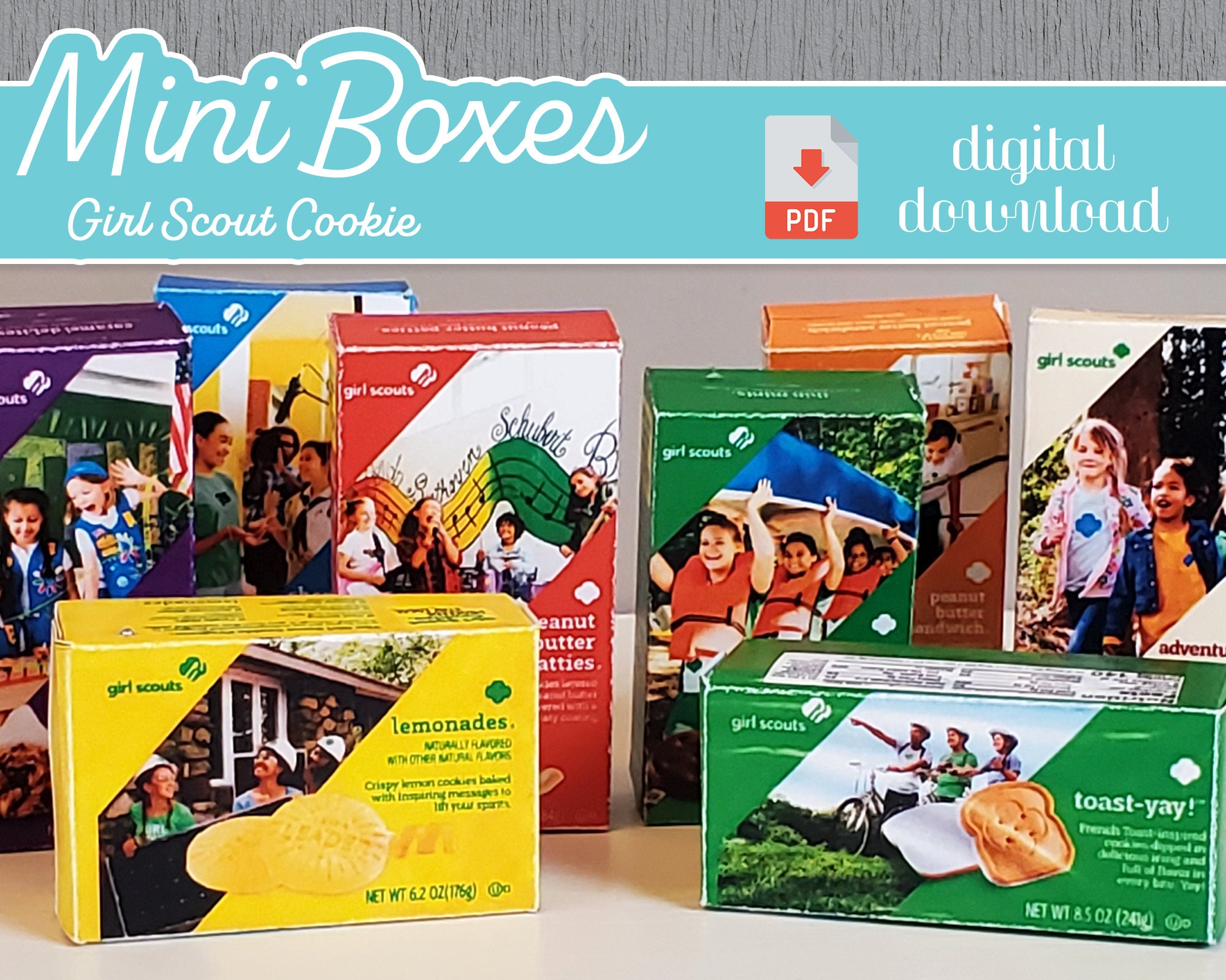 Girl Scout Cookies Box 2022