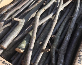 Hickory Sticks Box - Etsy