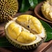 Durian - Etsy