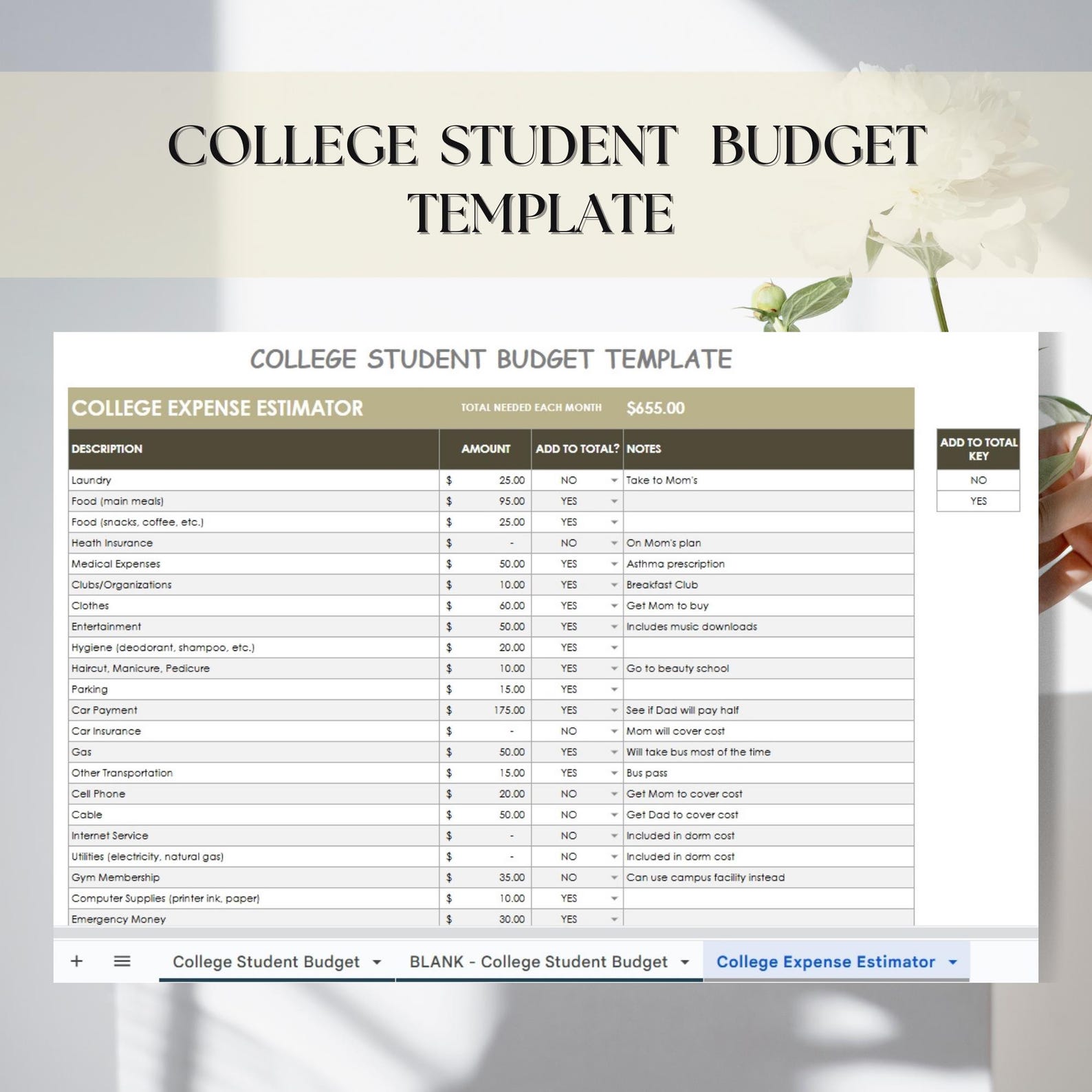 College Student Budget Template, Google Sheets, Budget Spreadsheet ...