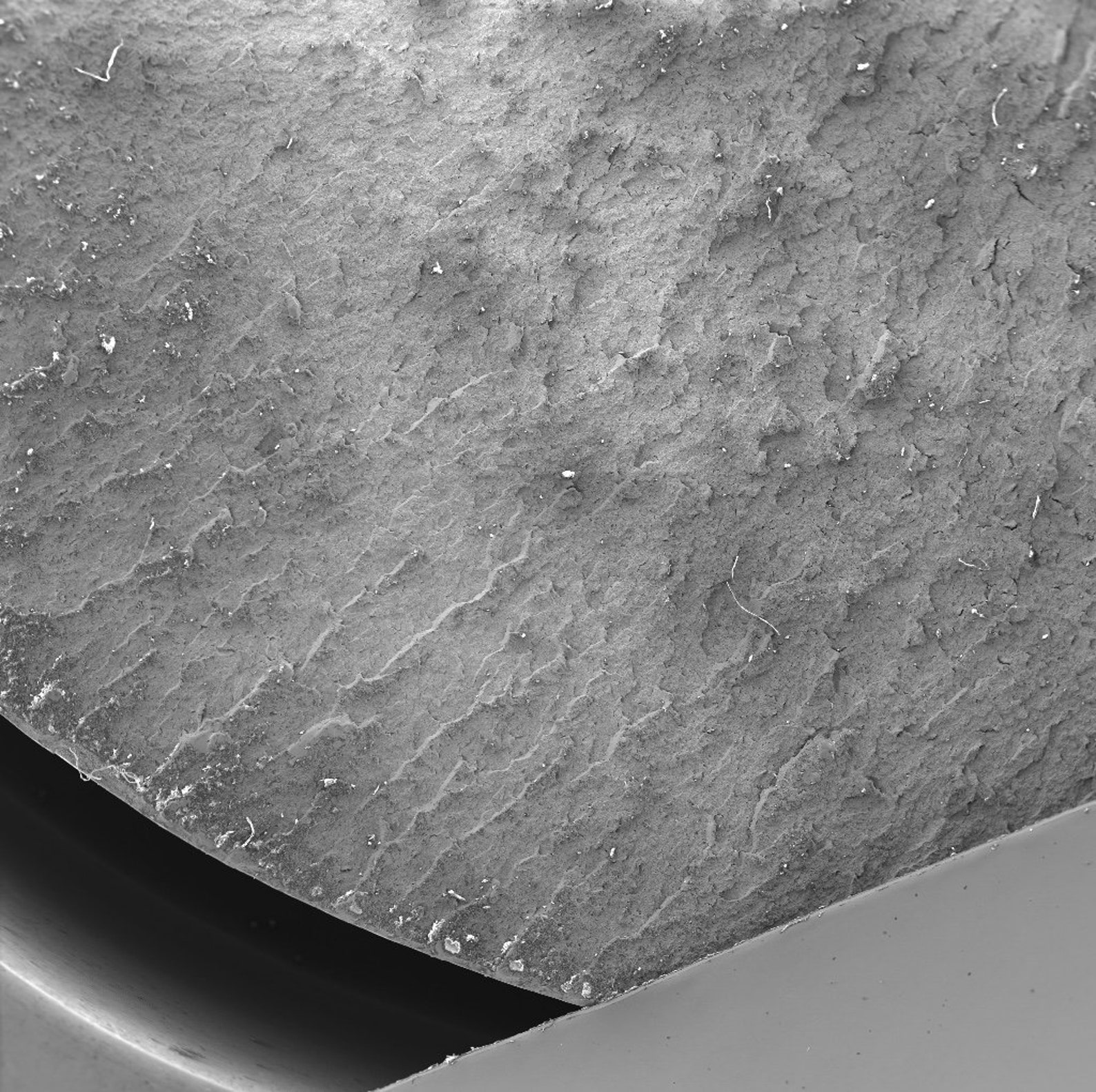 Steel Scanning Electron Microscope - Etsy