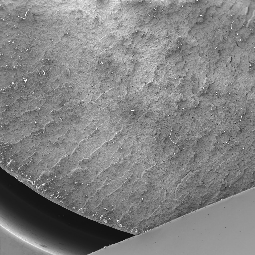 Steel Scanning Electron Microscope - Etsy