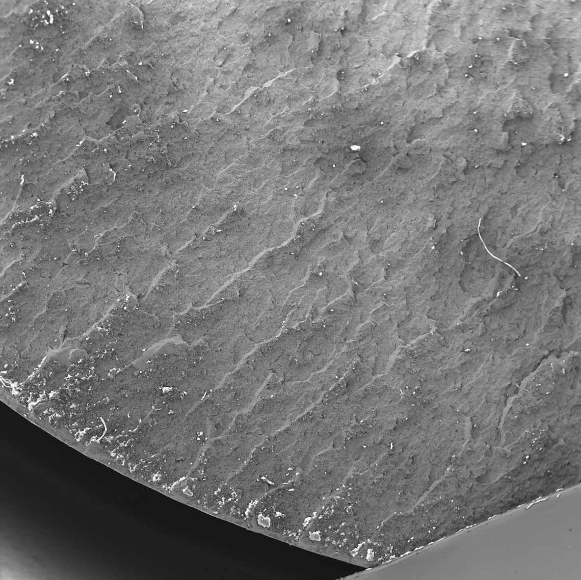 Steel Scanning Electron Microscope - Etsy