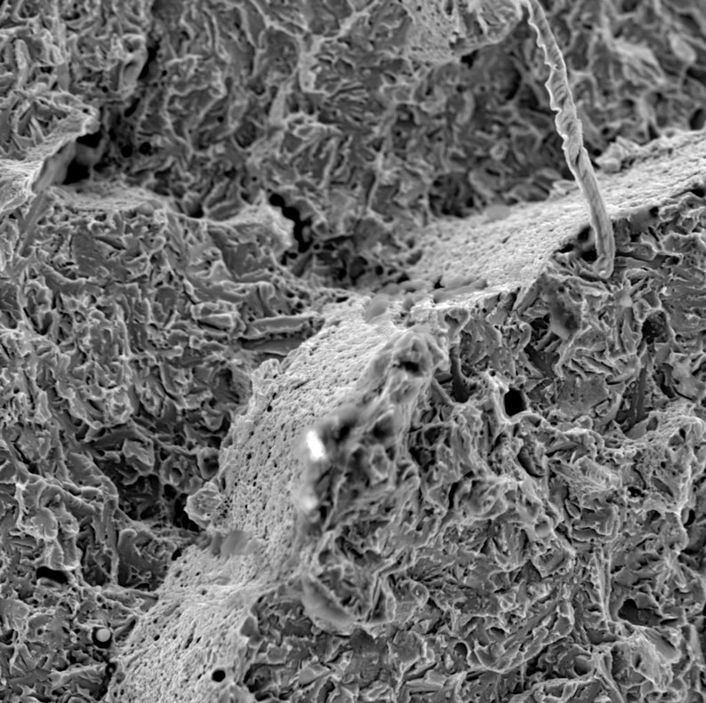 Steel Scanning Electron Microscope - Etsy