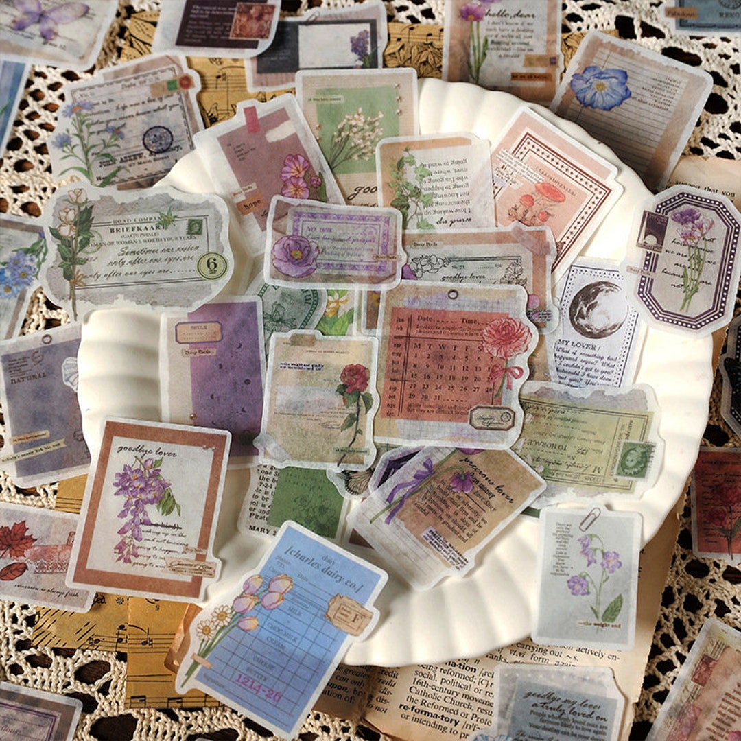 30pc Junk Journal Stickers, Vellum Stickers, Scrapbooking Stickers ...