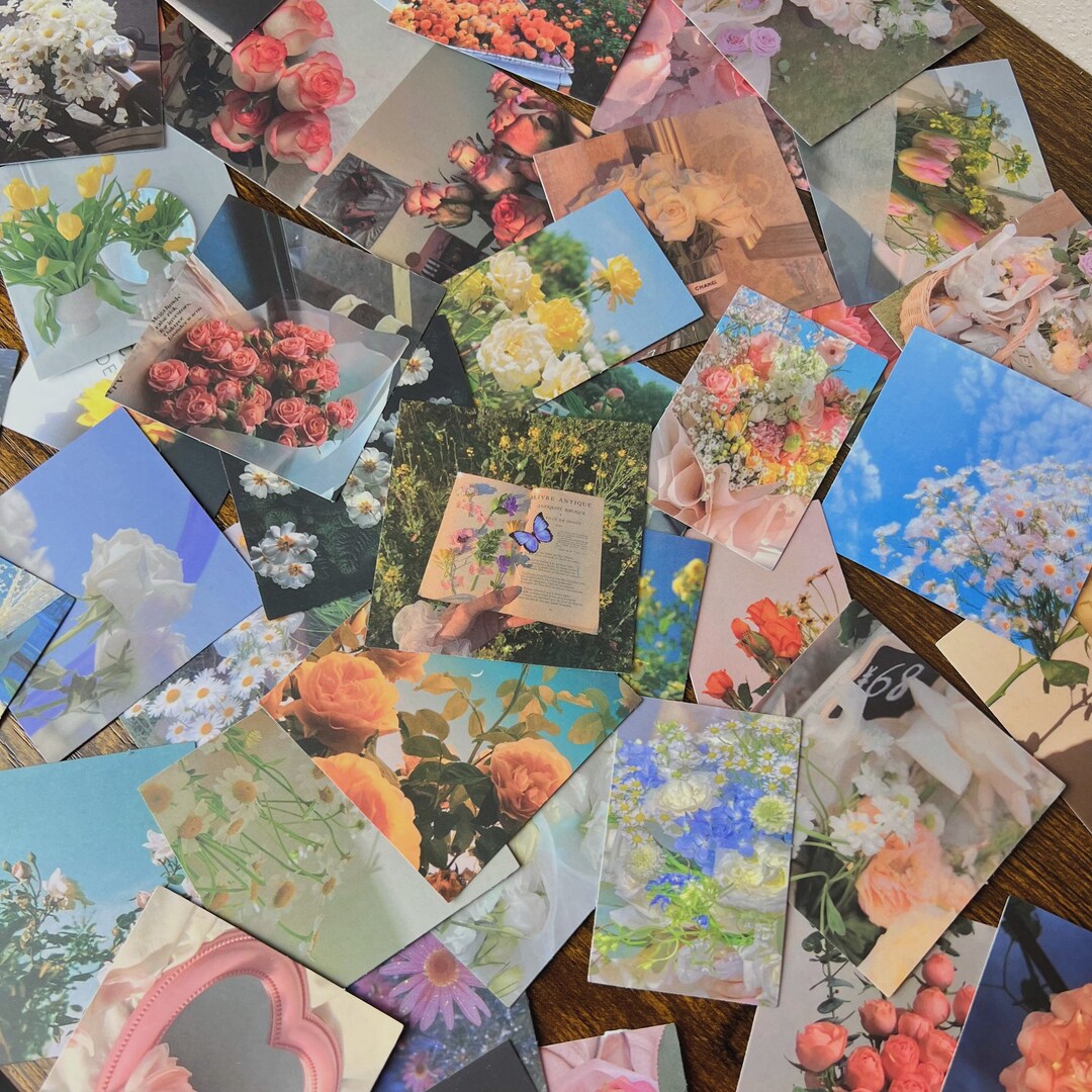 FLOWER STICKERS, Flower Photography Stickers, Flower Sticker, Craft ...