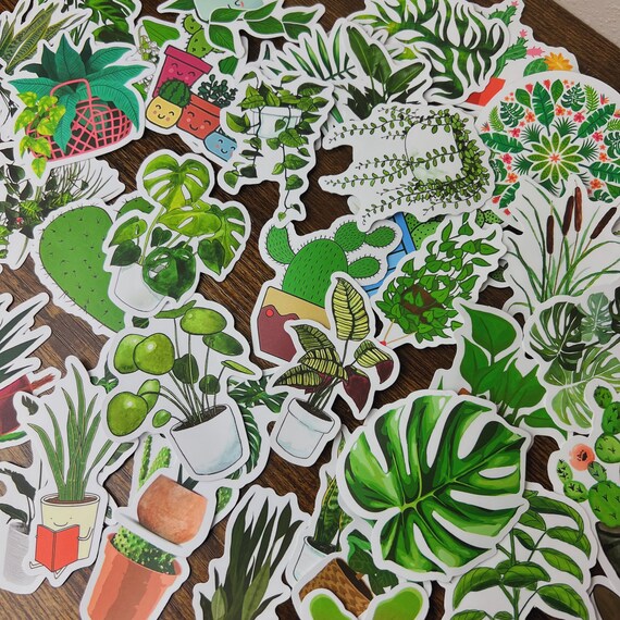 BOTANICAL VINYL STICKERS Green Botanical Stickers Laptop - Etsy
