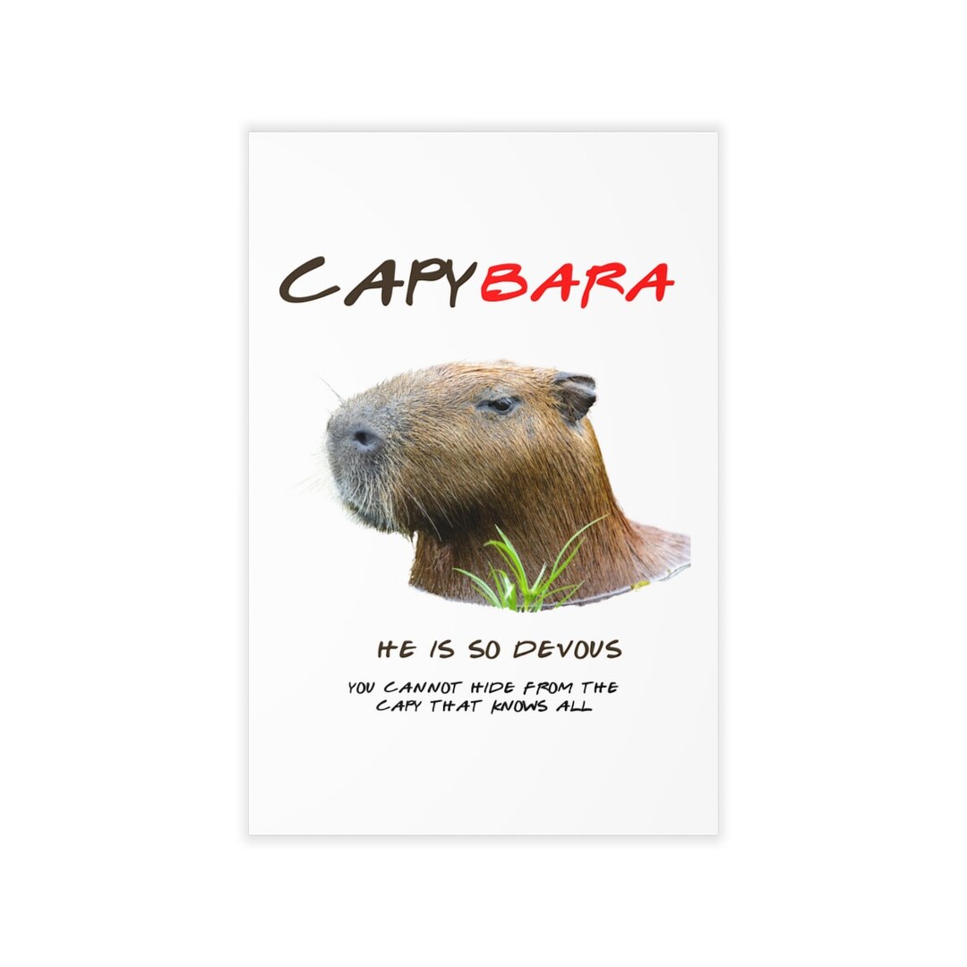 Capy Devious, Capybara Meme, Personalized OK I Pull up Capybara Wall ...