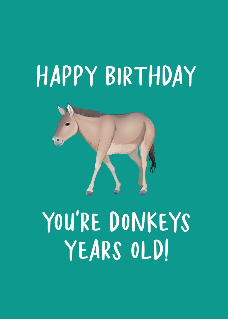 Happy Birthday Card you're Donkeys Years - Etsy