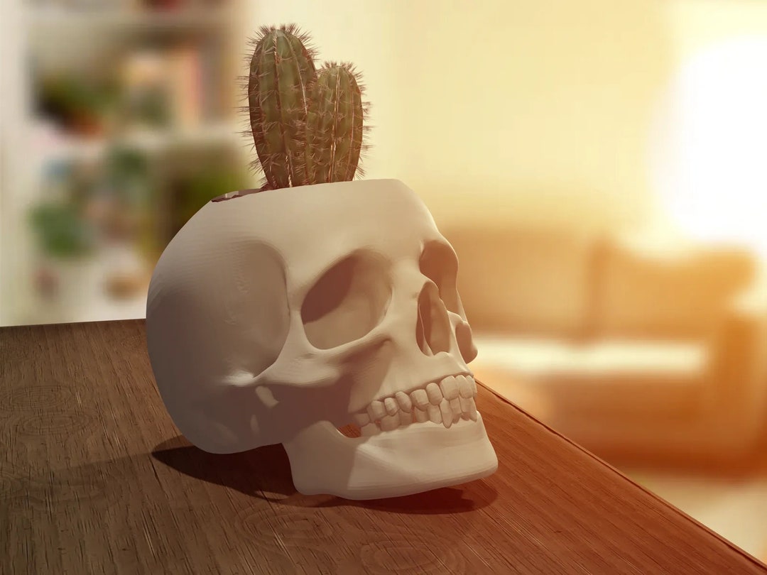 Gothic Flora: Skull Planter With Drain Holes and Drainage Cup - Etsy