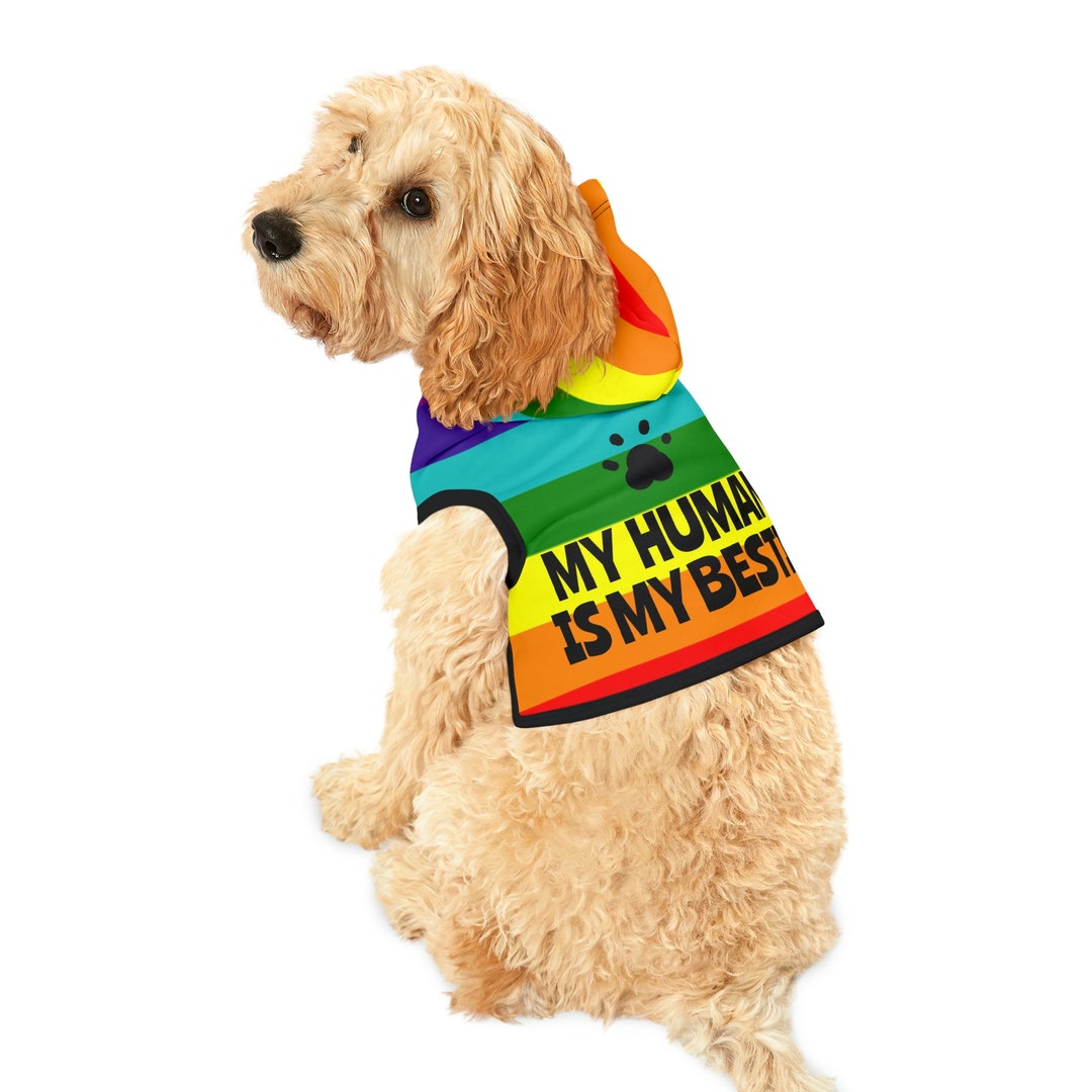 My Human is My Bestie Rainbow Dog Sweater Hoodie, Pet Lover Gift, Dog ...