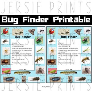 Bug Finder Printable / Bug Hunt / Classroom Activity / Outdoor Activity ...