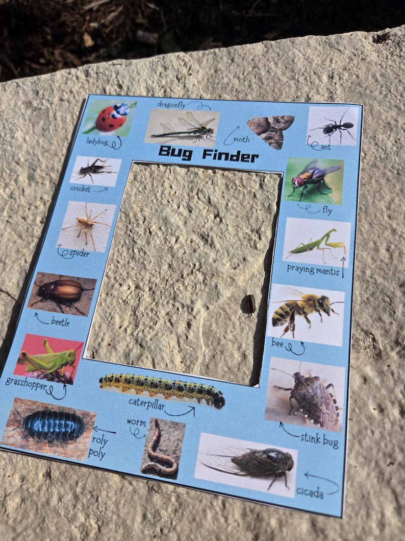 Bug Finder Printable / Bug Hunt / Classroom Activity / Outdoor Activity ...