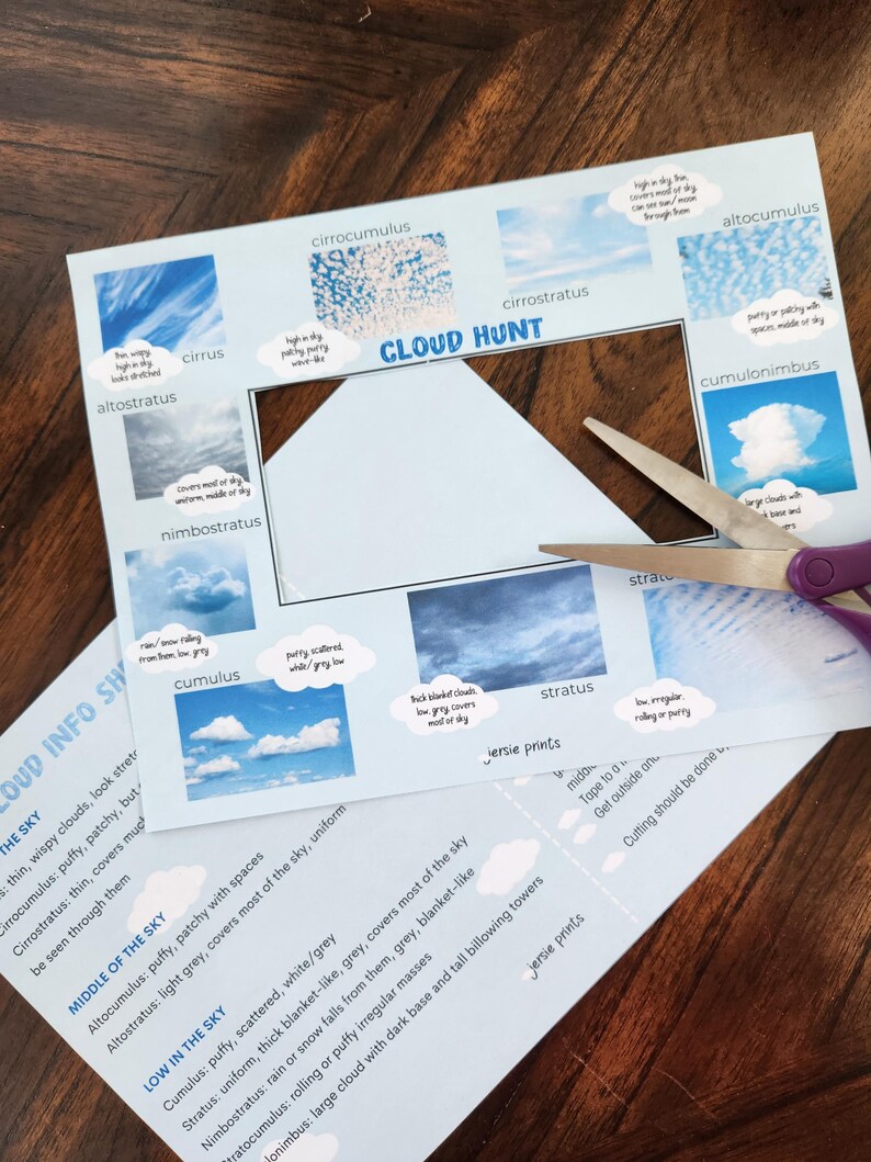 Cloud Hunt Printable / Cloud Finder / Classroom Activity / Outdoor ...