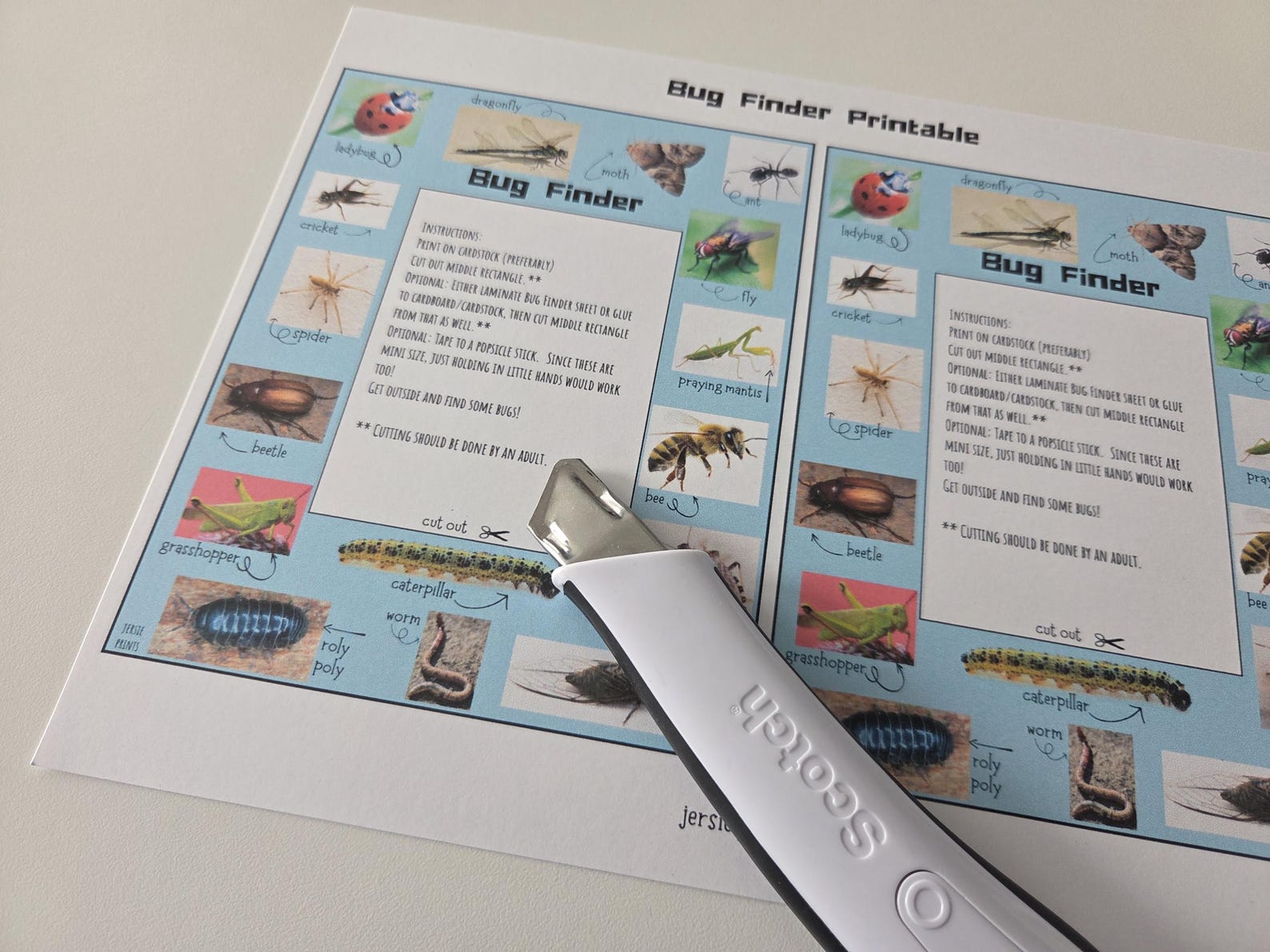 Bug Finder Printable / Bug Hunt / Classroom Activity / Outdoor Activity ...