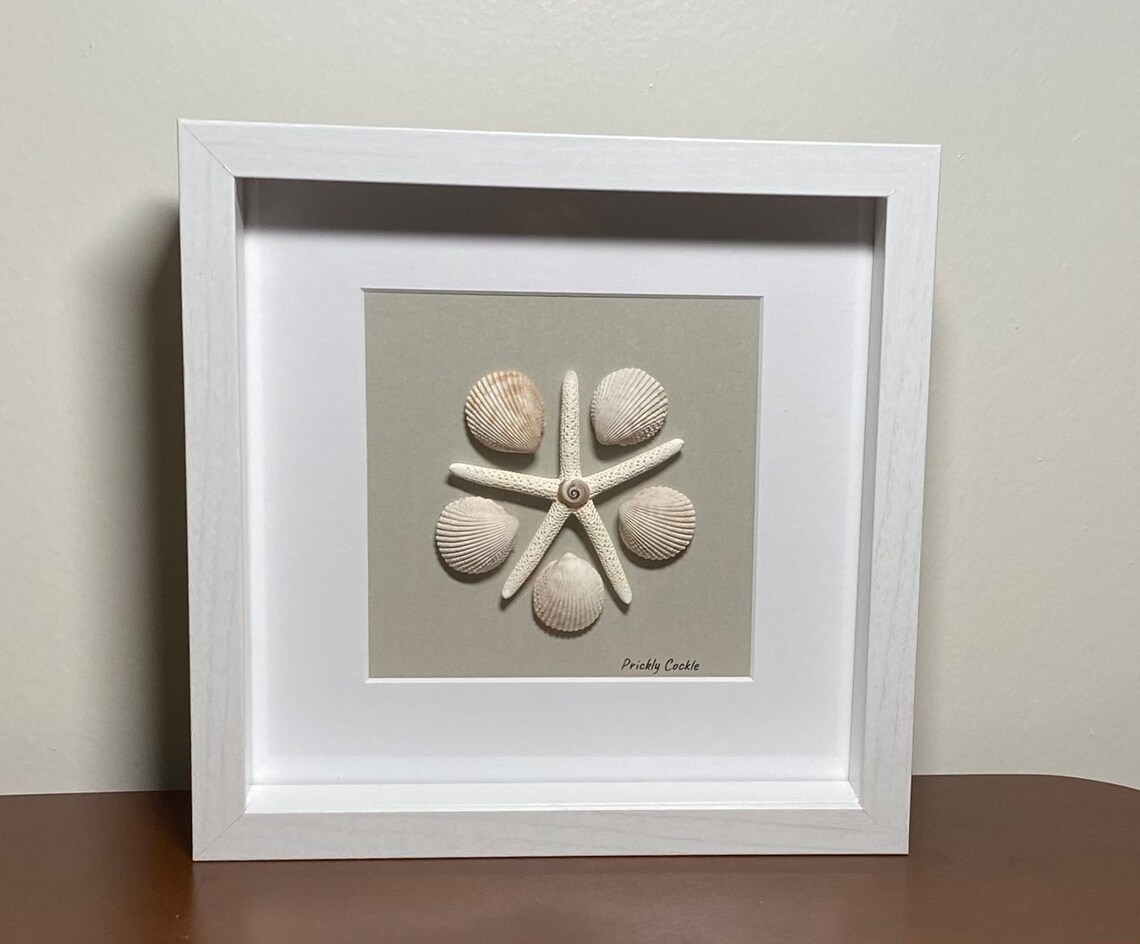 Shadow Box Frame Set, Florida Spiny Jewel Box, Prickly Cockle, Calico ...