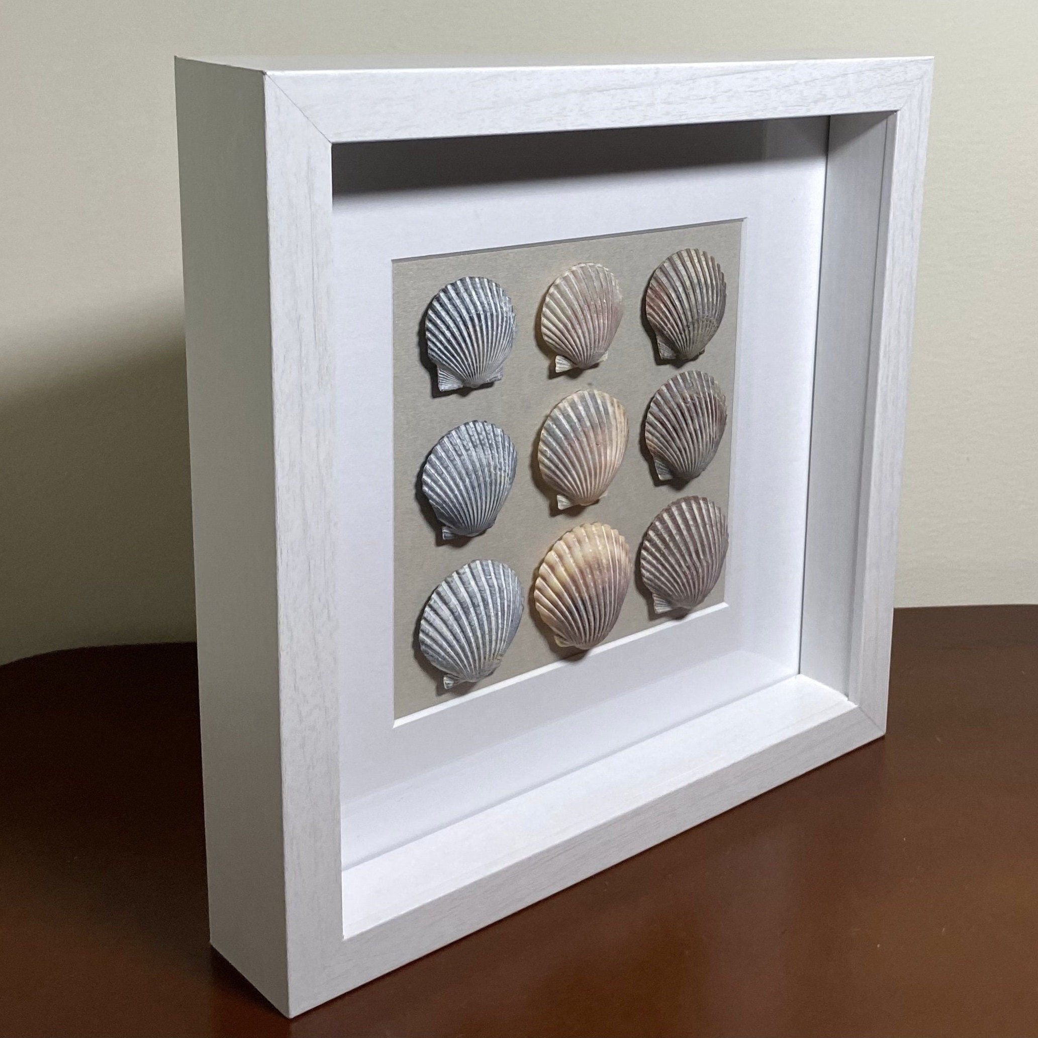 Seashell Shadow Box Frame, Bay Scallops, Coastal Home Decor - Etsy