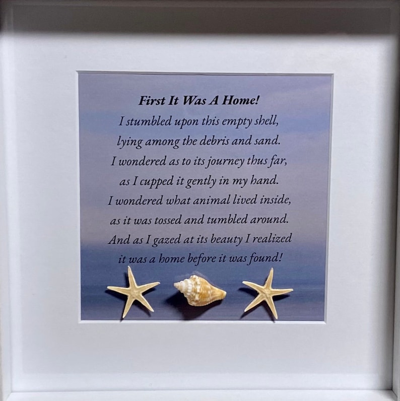 Seashell Shadow Box Frame, Seashell Poem, Juvenile Florida Fighting ...