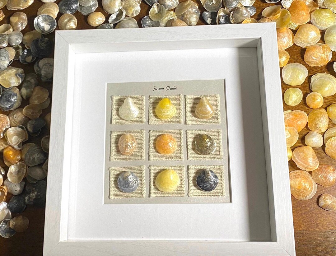 Jingle Shells, Delaware, Westport, CT, Sag Harbor, NY, White Shadow Box ...