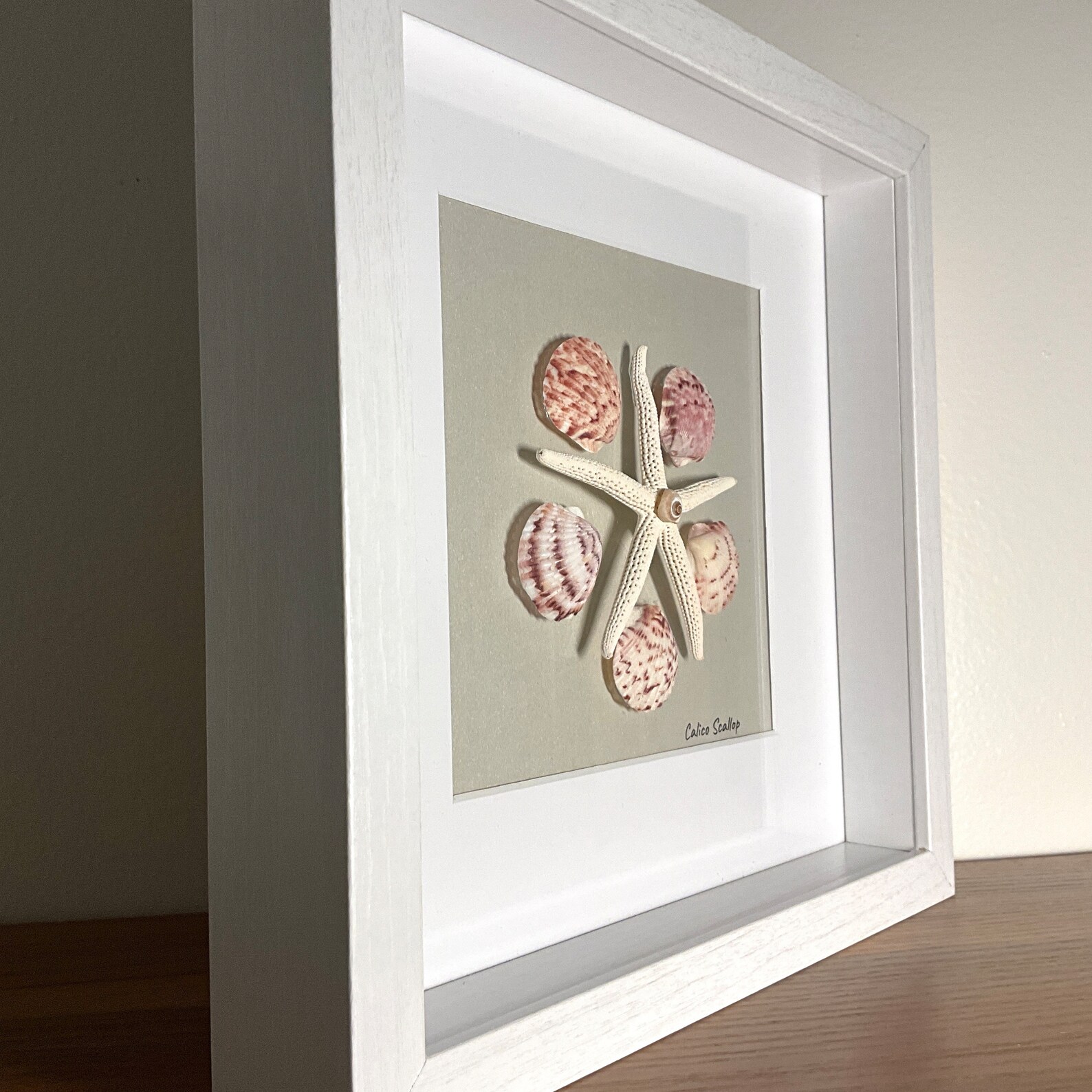 Calico Scallops, Starfish, Moon Shell, Seashell Shadow Box Frame - Etsy