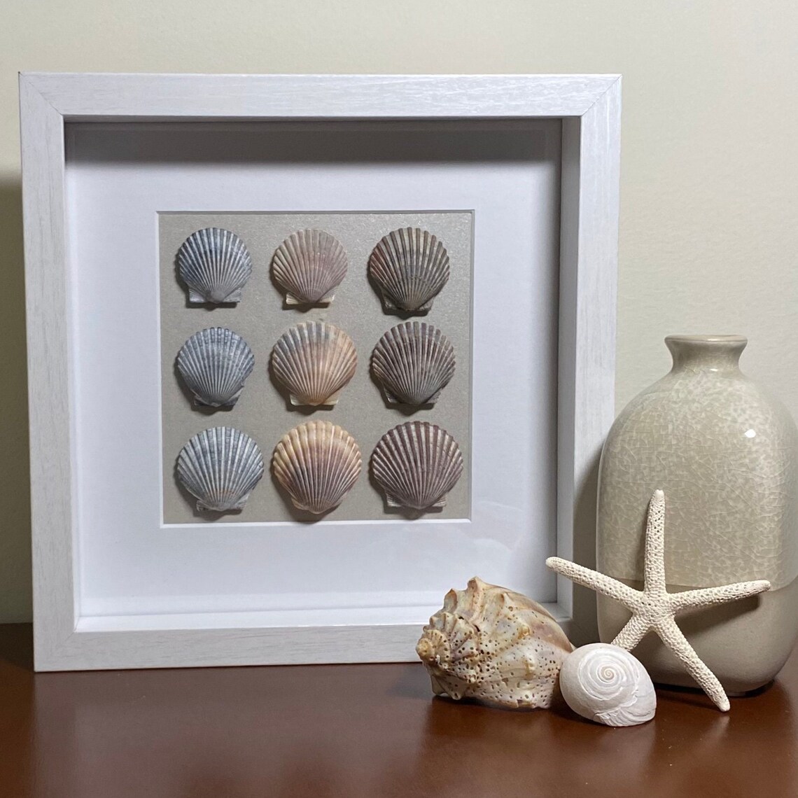 Seashell Shadow Box Frame, Bay Scallops, Coastal Home Decor - Etsy