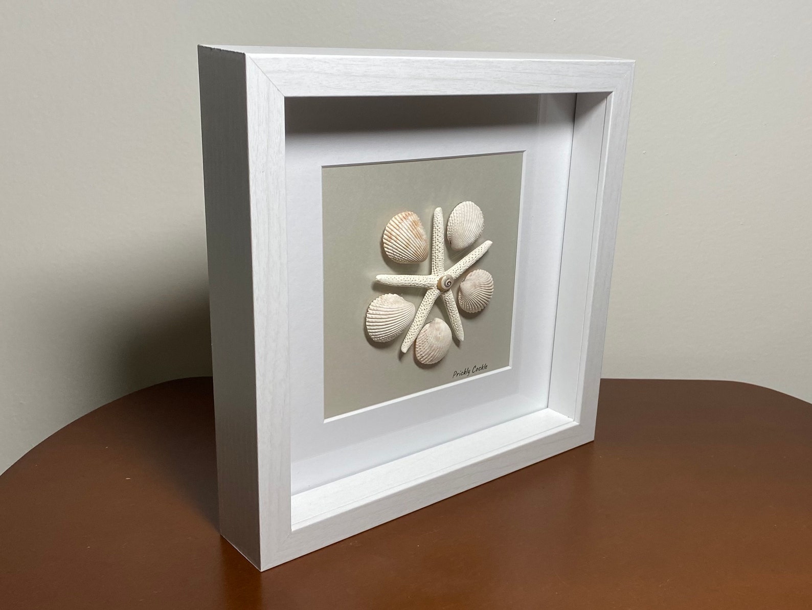 Shadow Box Frame Set, Florida Spiny Jewel Box, Prickly Cockle, Calico ...