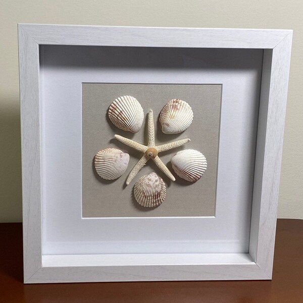 Seashell Shadow Box - Etsy