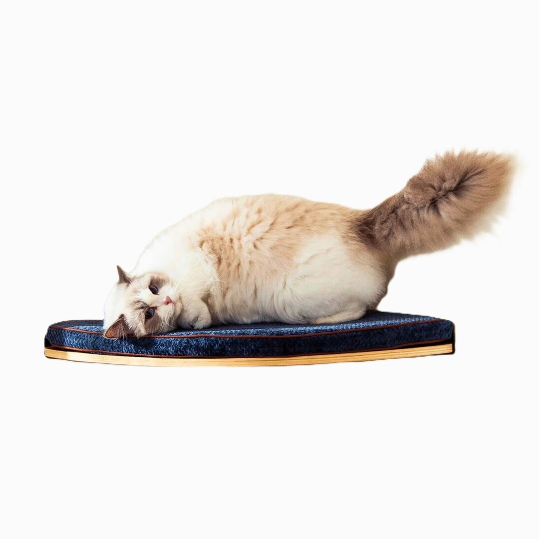 Corner Cat Wall Shelve, Cat Wall Bed, Cat Wall Furniture. - Etsy