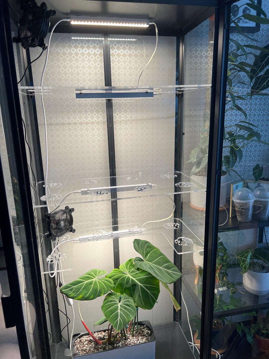 Milsbo Wide Acrylic Shelves - Ikea Greenhouse Plant Cabinet UK - Etsy UK